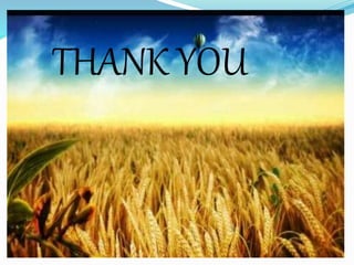 Crop rotation inplant | PPT