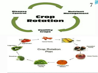 Crop rotation inplant | PPT