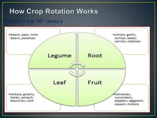 Crop rotation | PPTX