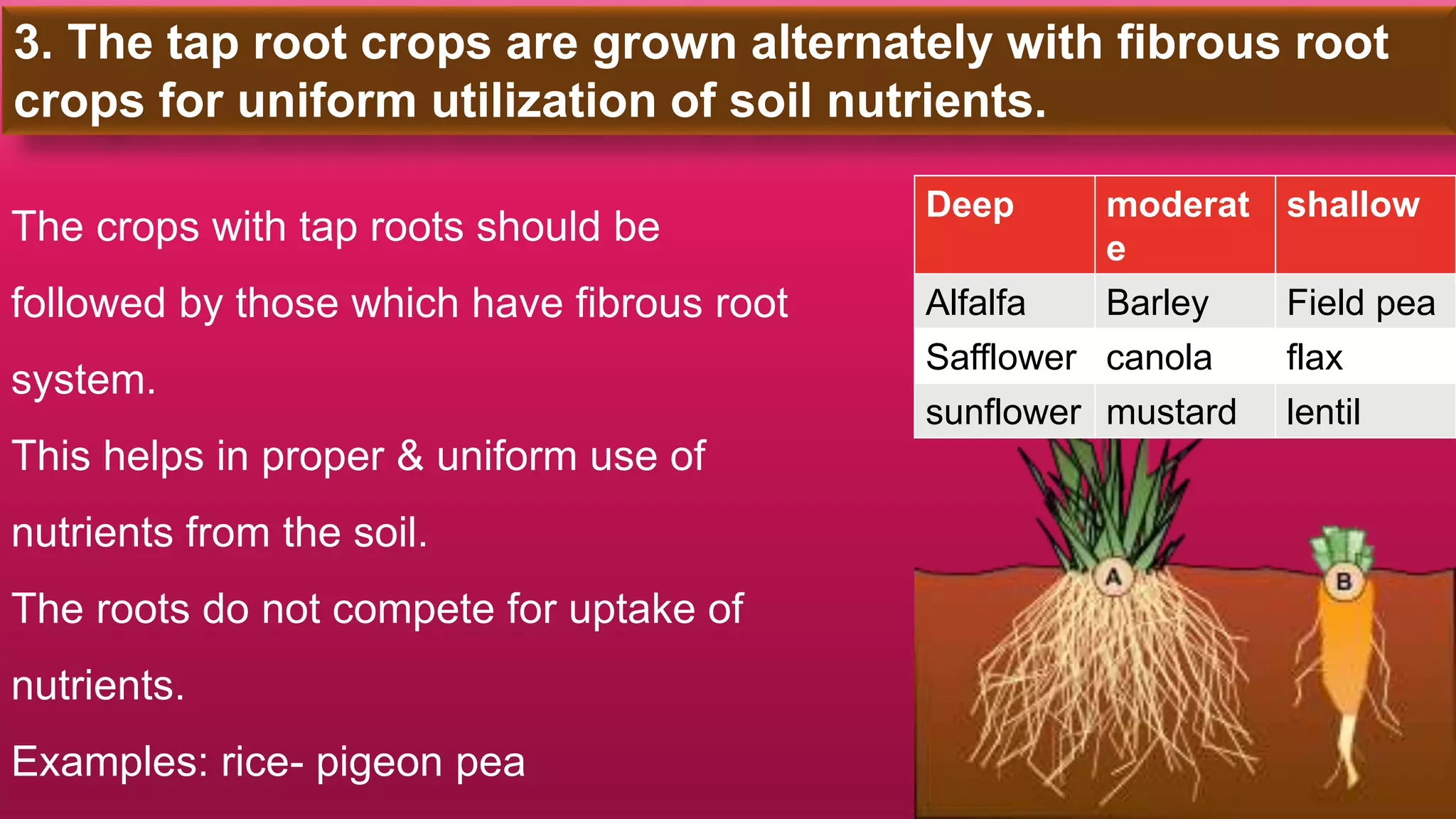 Crop rotation best slides | PPTX