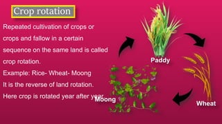 Crop rotation best slides | PPT