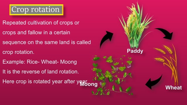 Crop rotation best slides | PPT