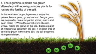 Crop rotation best slides | PPTX