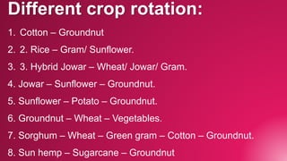 Crop rotation best slides | PPTX
