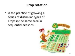 Crop rotation 8 march2012-edit2 | PPT