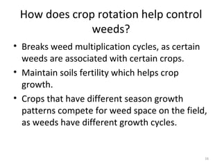 Crop rotation 8 march2012-edit2 | PPT
