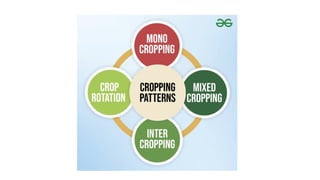Crop Rotation - Definition, Types and Advantages.pptx