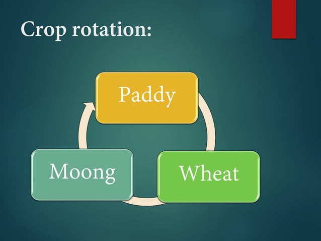 Crop rotation and its principle | PPT