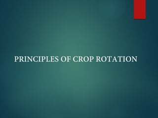 Crop rotation and its principle | PDF