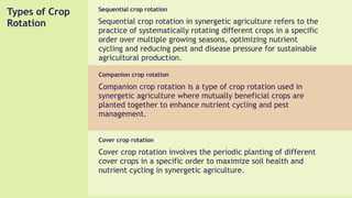 crop rotation in synergetic agriculture.pptx