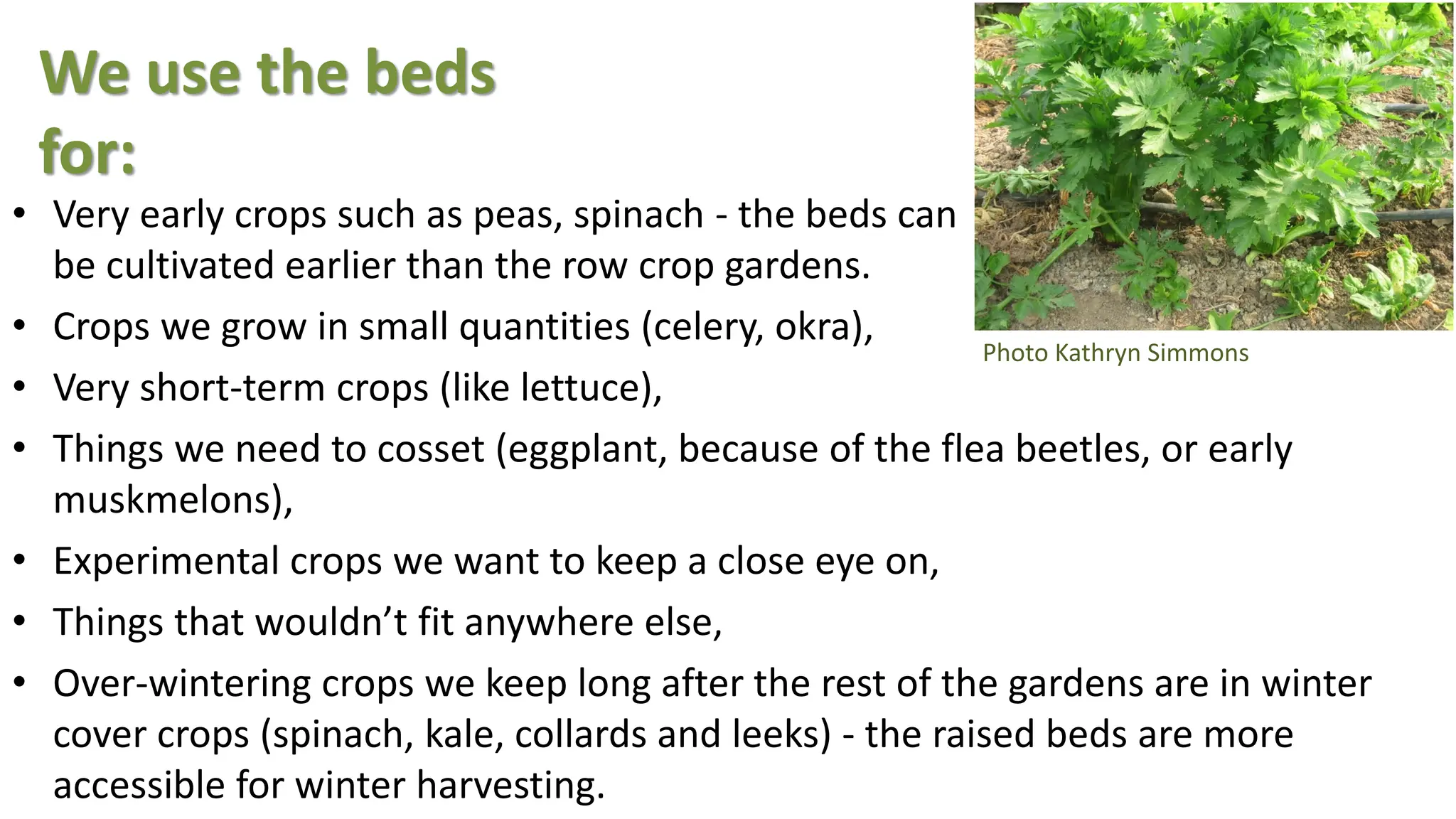 Crop Rotations for Vegetables and Cover Crops 2-10-2024 11.30am 16x9.pdf