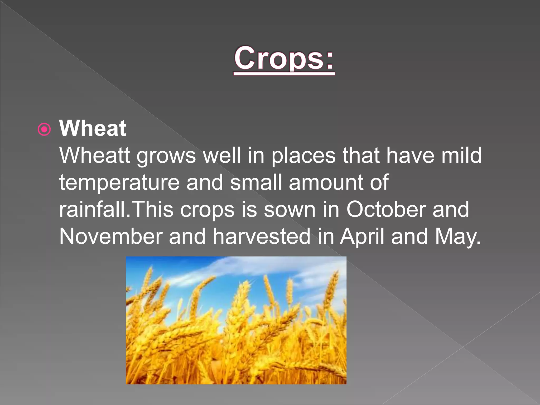 Crops | PPT