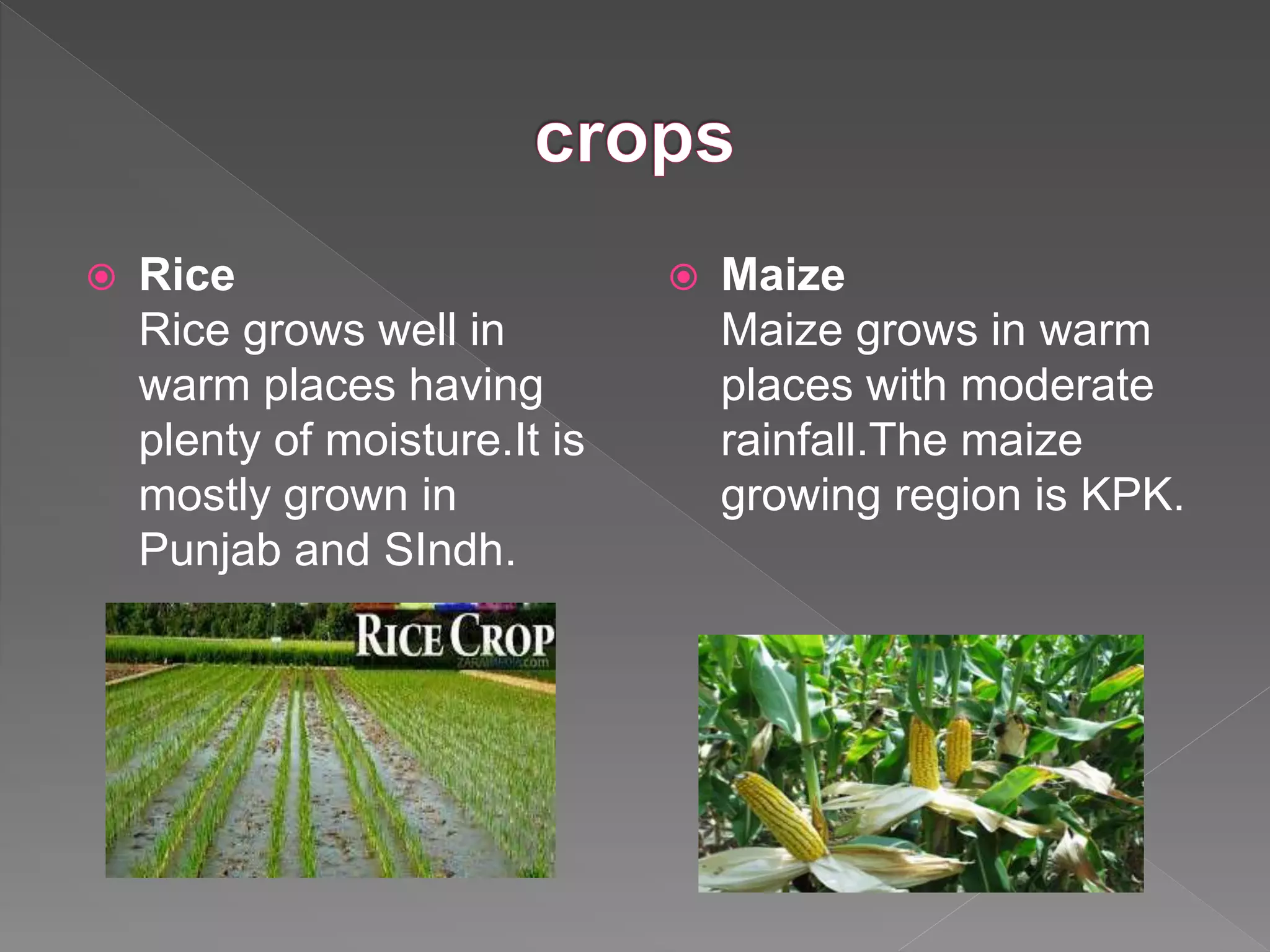 Crops | PPT