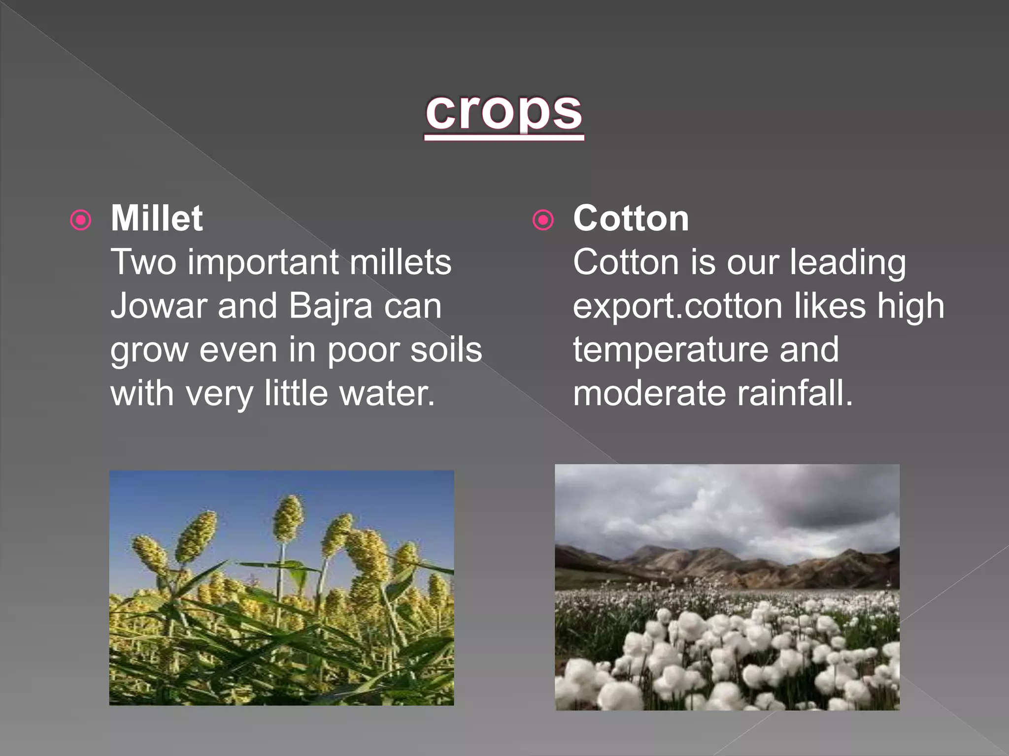 Crops | PPT