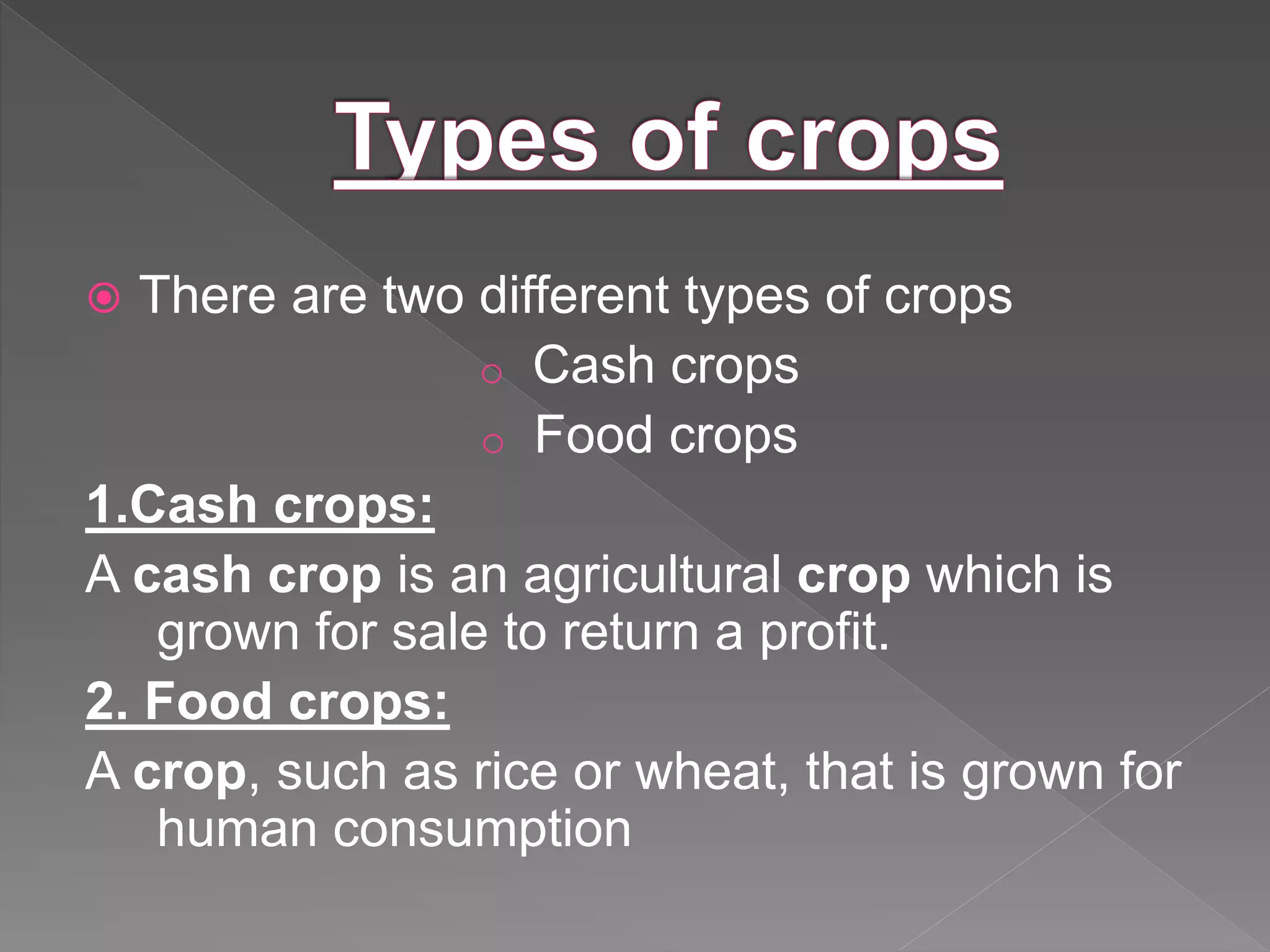 Crops | PPTX