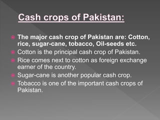 Crops | PPT