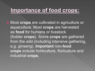 Crops | PPT