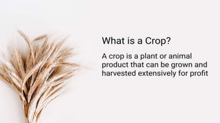 Crops and its types | PPT