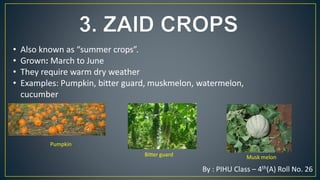 crops by Pihu Class 4th A.pptx