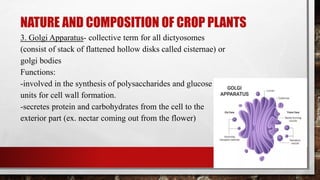 TC1CROPSCI101 Plant and function_PART-2.pdf