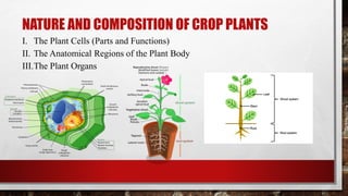 TC1CROPSCI101 Plant and function_PART-2.pdf