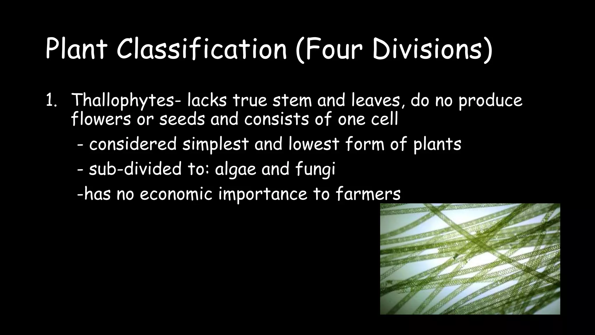 PLANT STRUCTURE, CLASSIFICATION, GROWTH AND DEVELOPMENT. | PPT