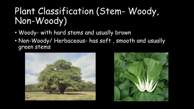 PLANT STRUCTURE, CLASSIFICATION, GROWTH AND DEVELOPMENT. | PPT