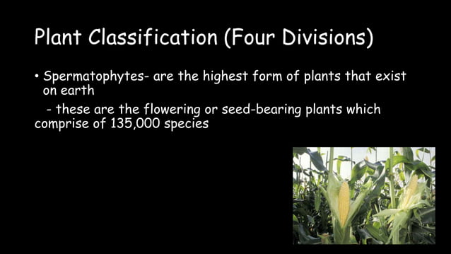 PLANT STRUCTURE, CLASSIFICATION, GROWTH AND DEVELOPMENT. | PPT
