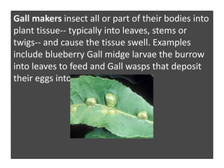 Crop science pest damage(orig) | PPT