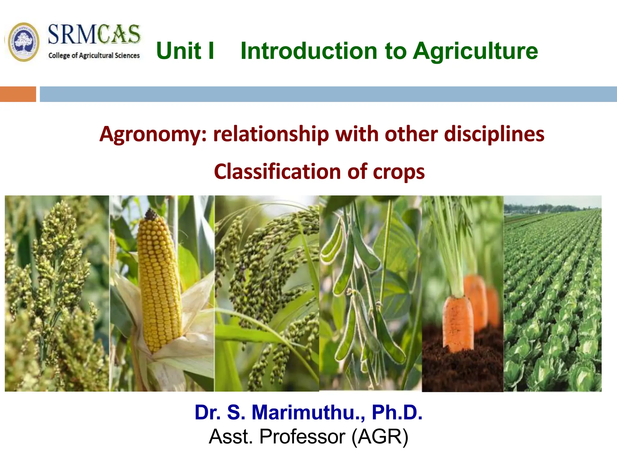 Agronomic Crops Classification - Agriculture | PPT