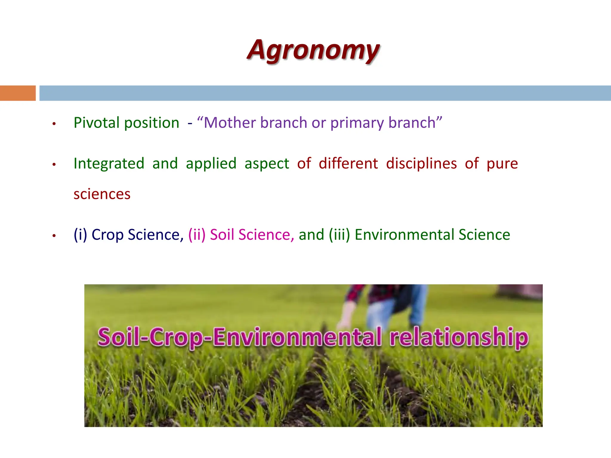 Agronomic Crops Classification - Agriculture | PPT