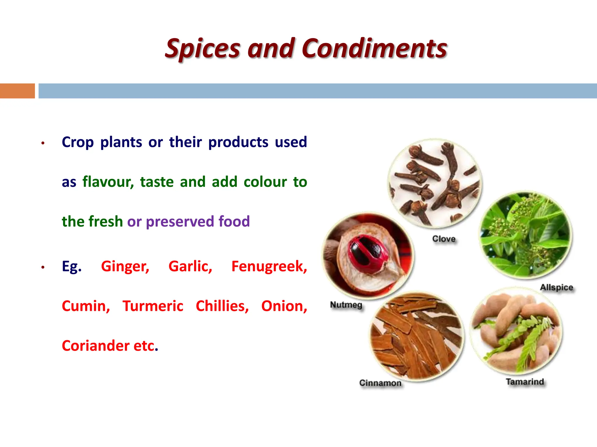 Agronomic Crops Classification - Agriculture | PPT