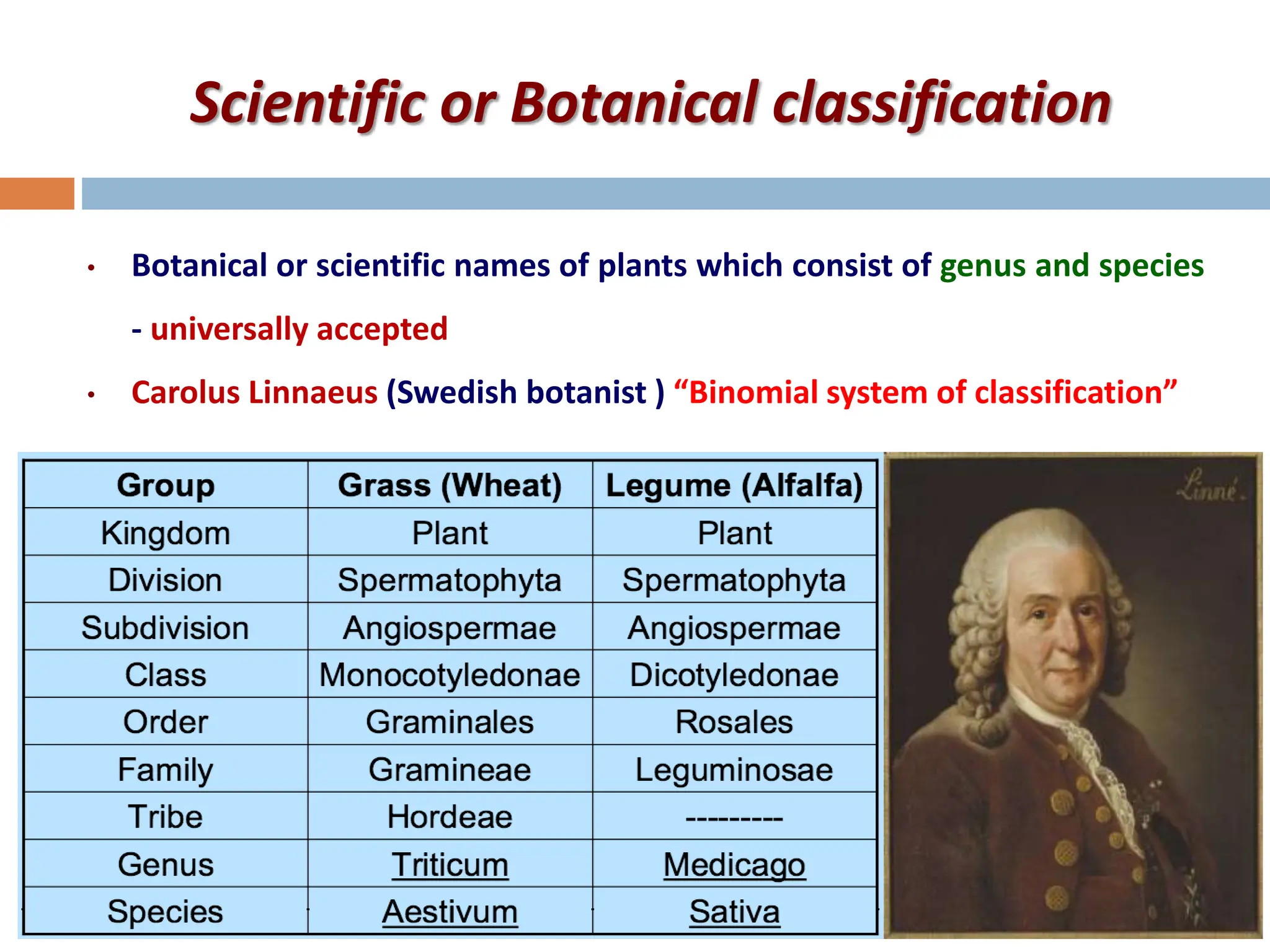 Agronomic Crops Classification - Agriculture | PPT