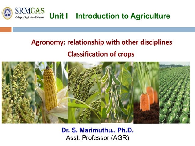Agronomic Crops Classification - Agriculture | PPT