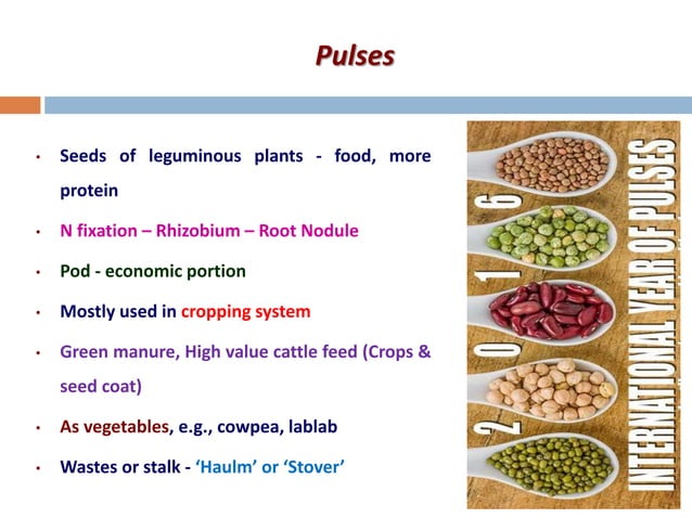 Agronomic Crops Classification - Agriculture | PPT