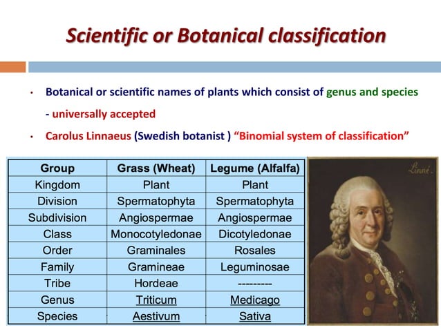 Agronomic Crops Classification - Agriculture | PPT
