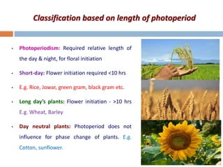 Agronomic Crops Classification - Agriculture | PPT
