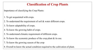 Crops classification and significance.pptx