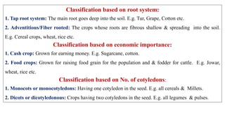 Crops classification and significance.pptx