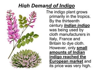 Crops for europe | PPSX