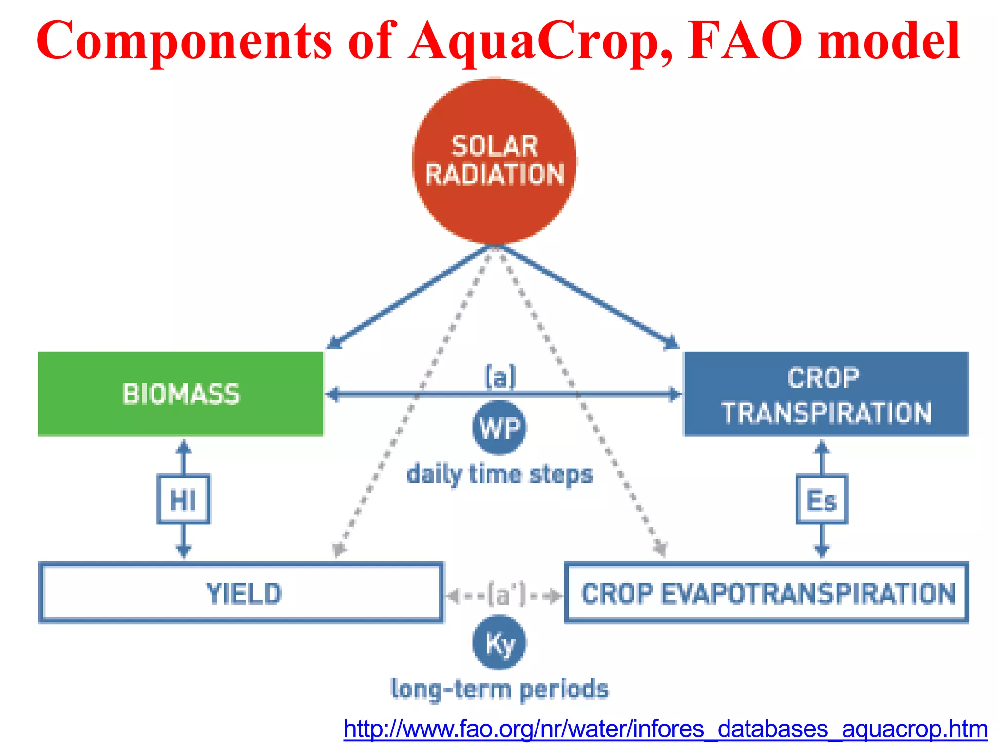 Crop simulation model | PDF