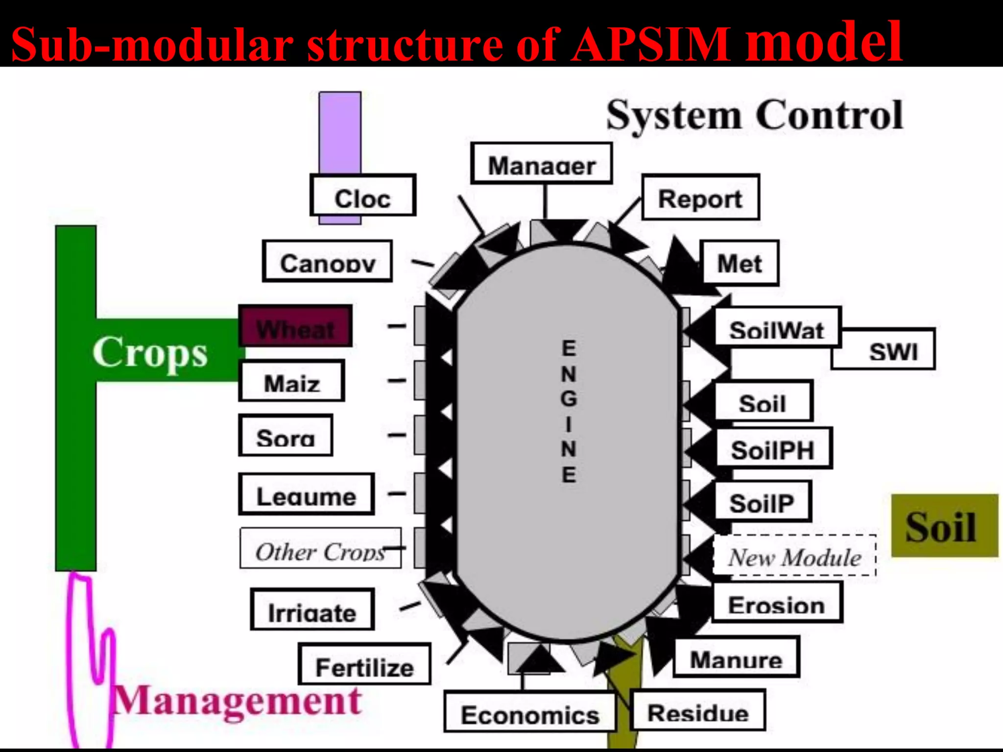 Crop simulation model | PDF