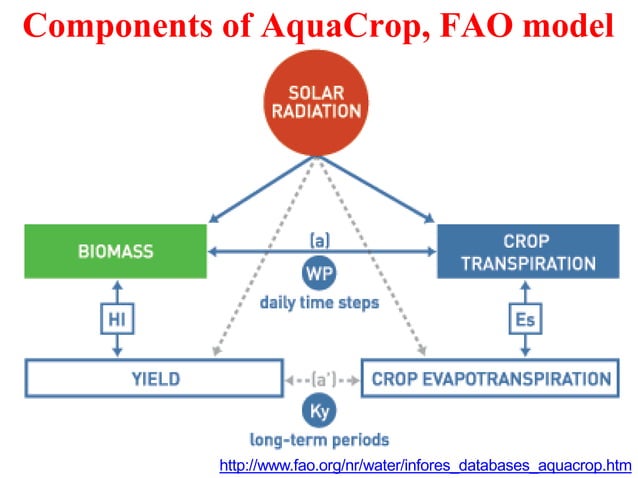 Crop simulation model | PDF | Agriculture | Industries