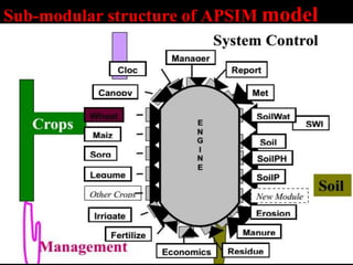 Crop simulation model | PDF