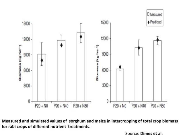 Crop simulation model for intercropping | PPTX