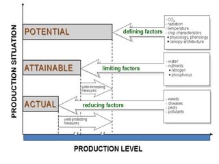 Crop simulation model for intercropping | PPTX