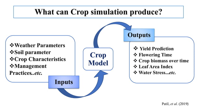 Crop_Simulation_model_in_Vegetable_Production.pptx