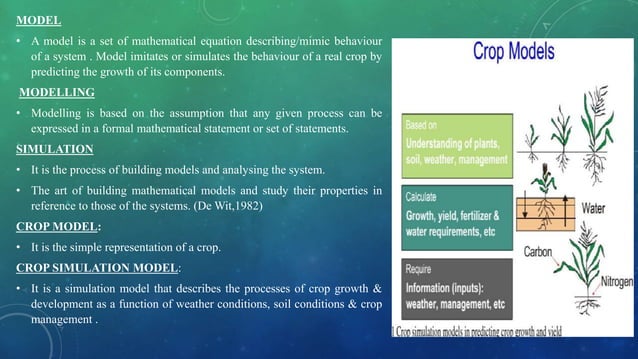 CROP SIMULATION MODELS AND THEIR APPLICATIONS IN CROP PRODUCTION.pptx