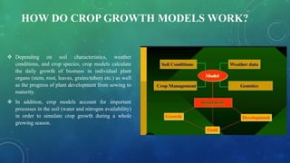CROP SIMULATION MODELS AND THEIR APPLICATIONS IN CROP PRODUCTION.pptx