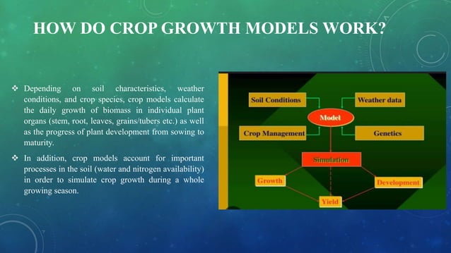 Crop Simulation Models And Their Applications In Crop Production Pptx